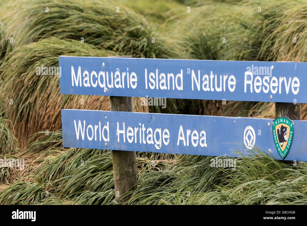Macquarie island nature reserve hi-res stock photography and images - Alamy