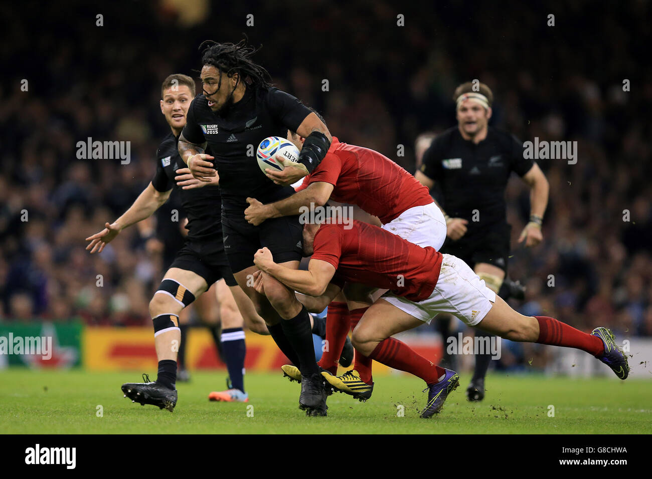 New zealand v france hi-res stock photography and images - Alamy