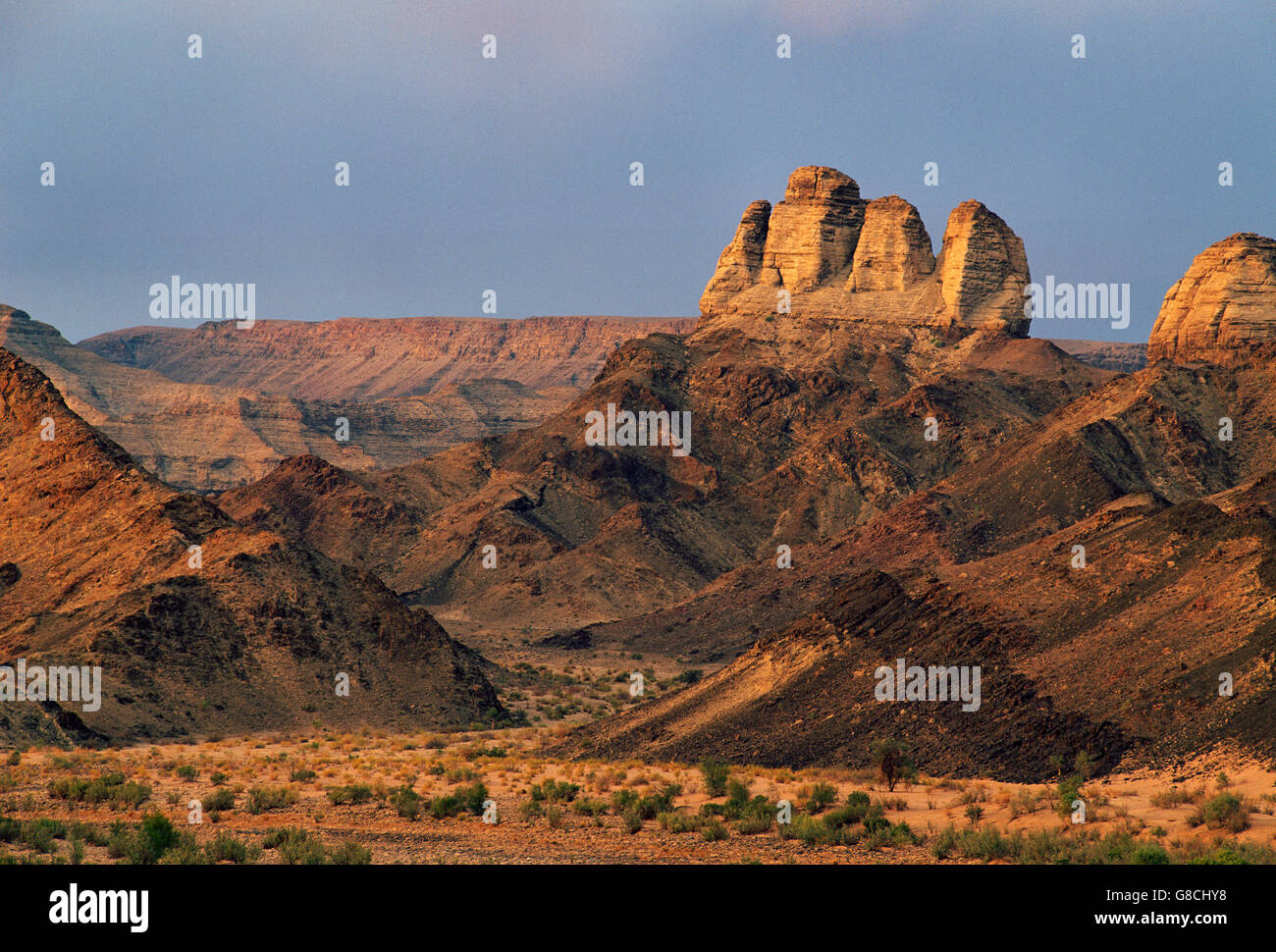 Largest fish finger hi-res stock photography and images - Alamy