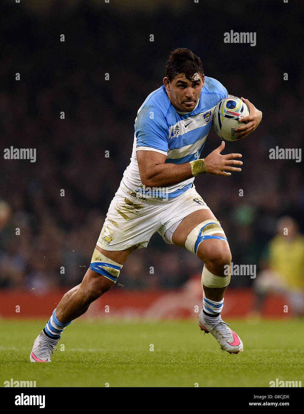 Pablo matera rugby world cup hi-res stock photography and images - Alamy