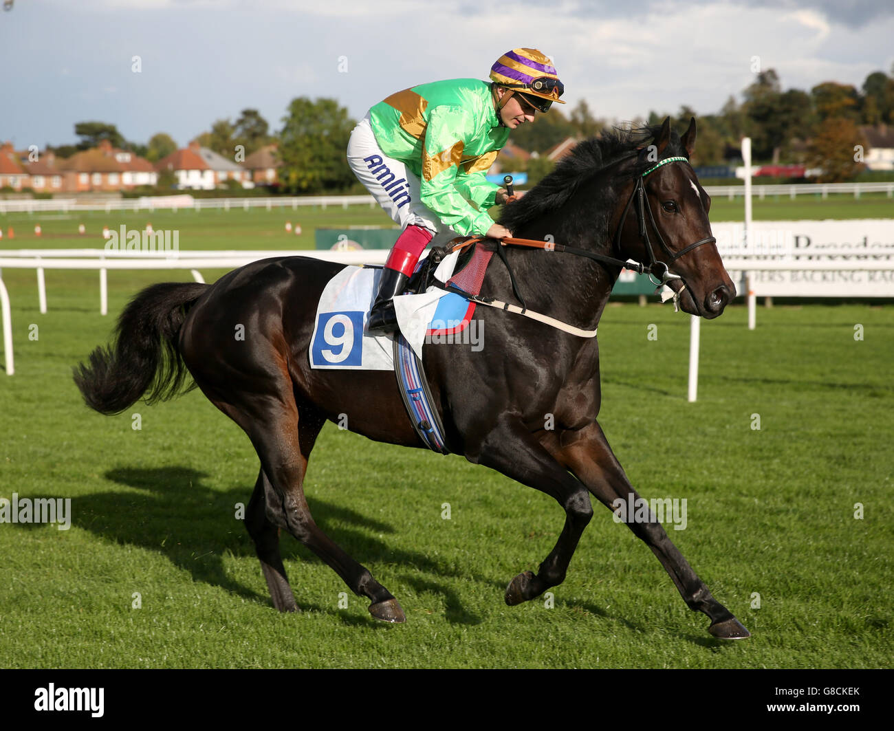 Andrea hunter hi-res stock photography and images - Alamy