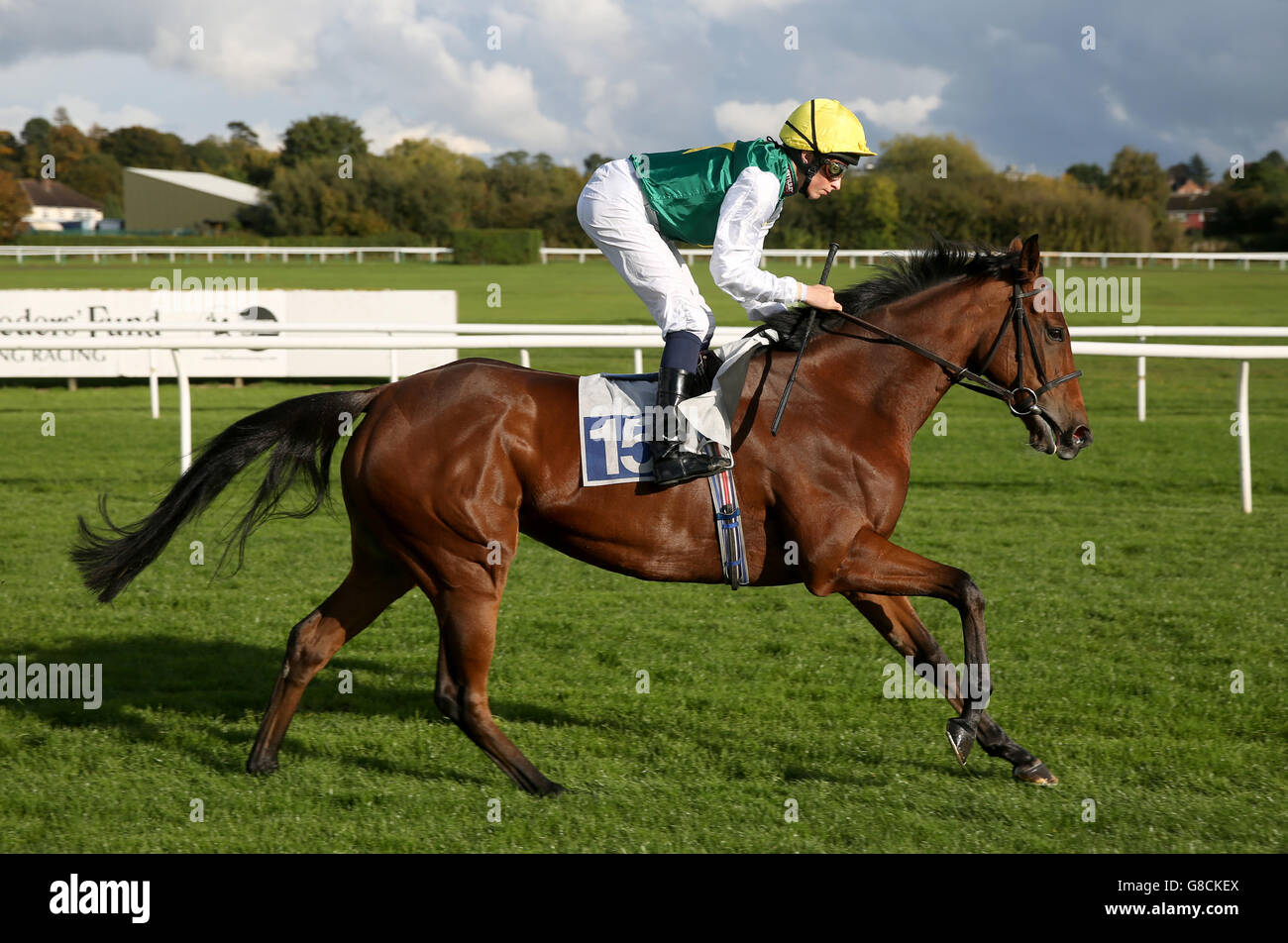 Horse Racing - Leicester Racecourse Stock Photo - Alamy