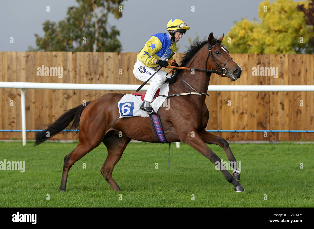 Horse Racing - Leicester Racecourse Stock Photo - Alamy
