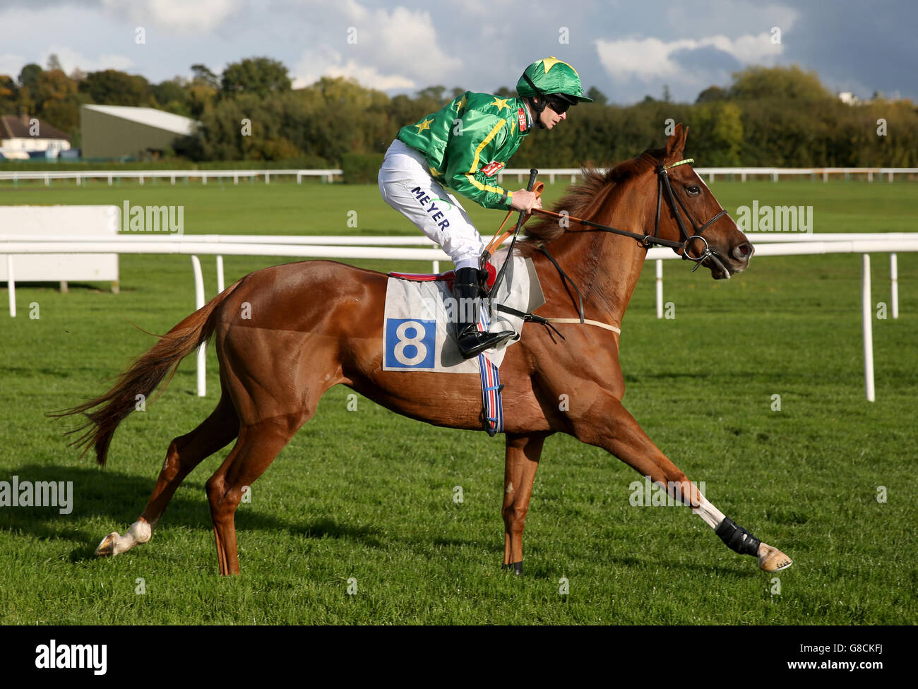 Horse Racing - Leicester Racecourse Stock Photo - Alamy