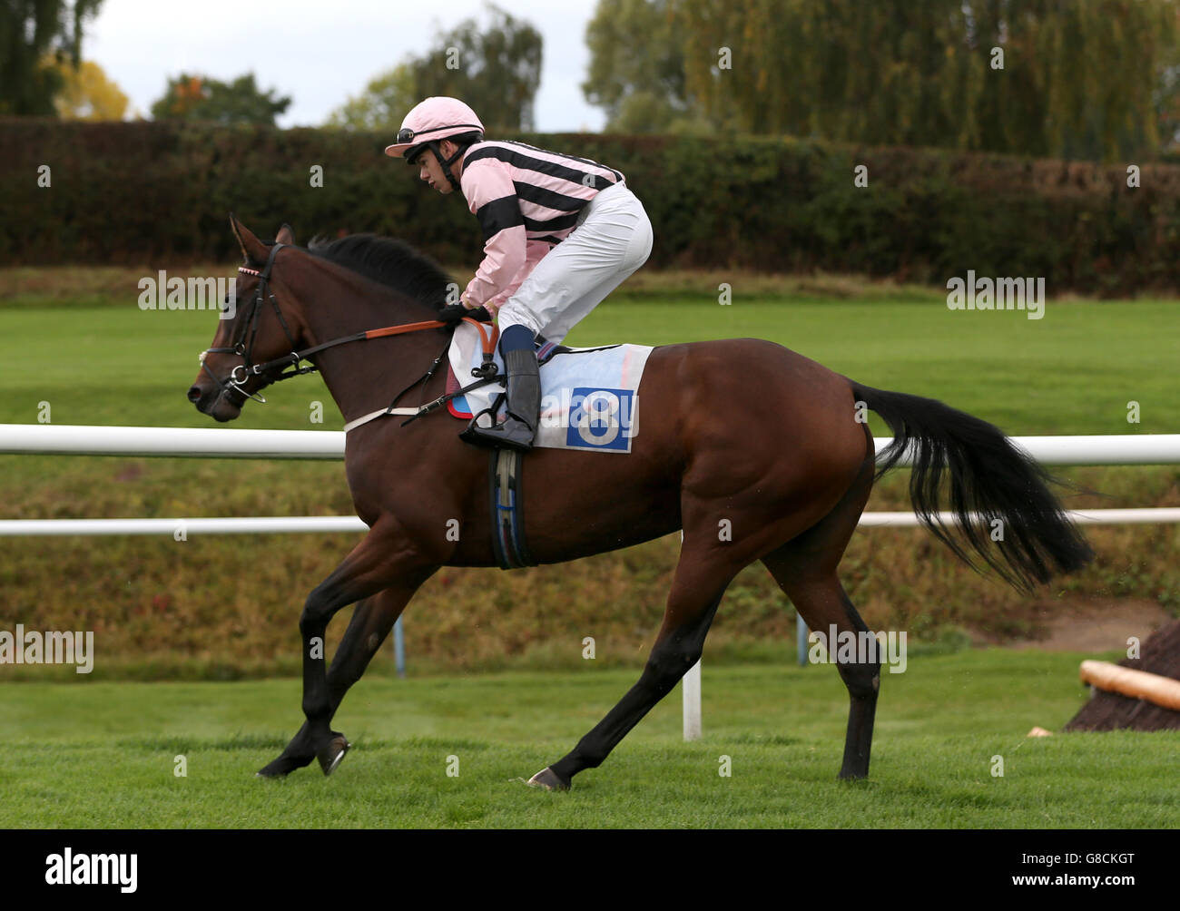 Multistar hi-res stock photography and images - Alamy