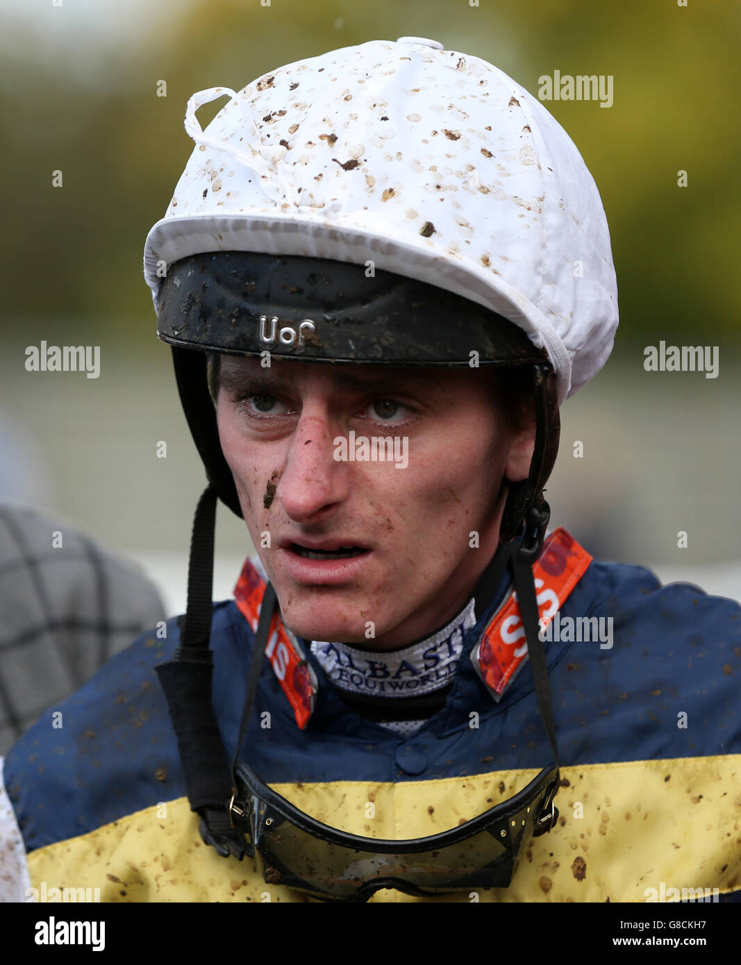 Adam Mancini's Instagram, Twitter & Facebook on IDCrawl