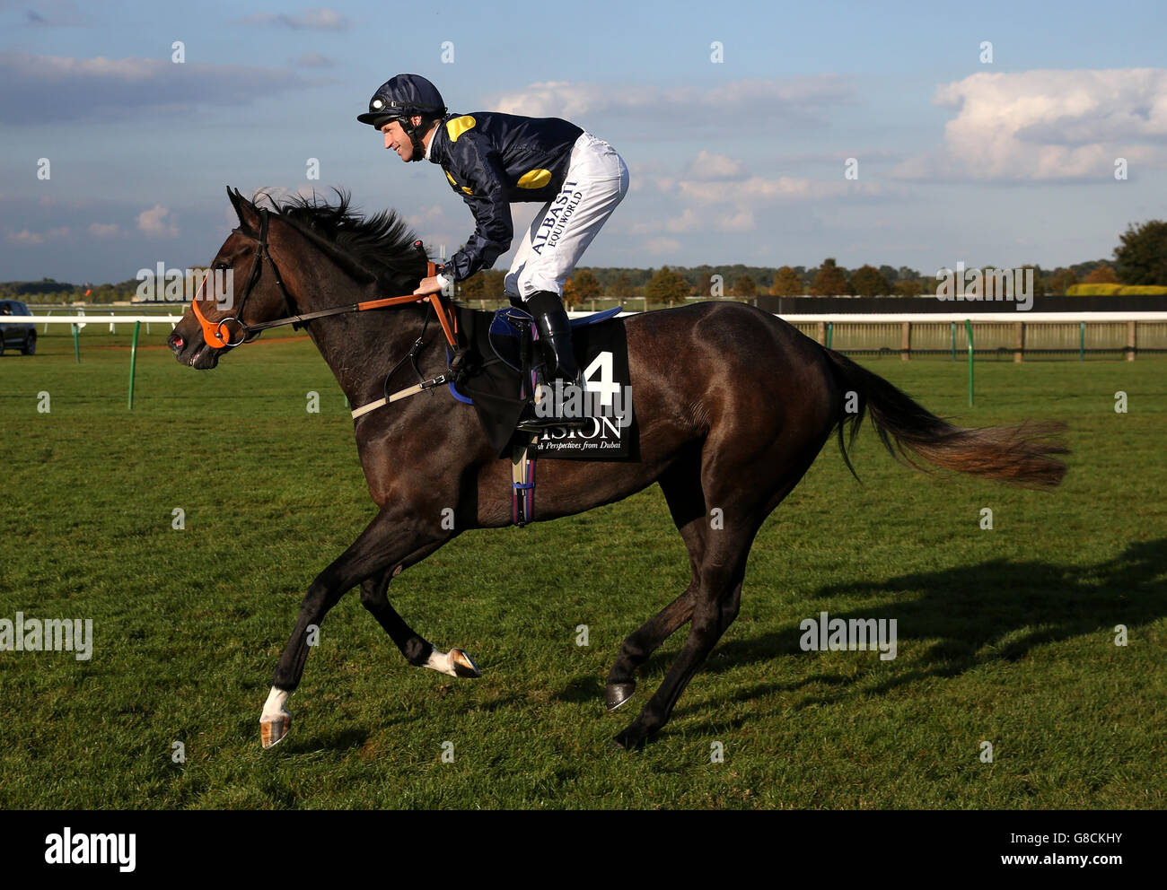 Pat dobbs goes hi-res stock photography and images - Alamy