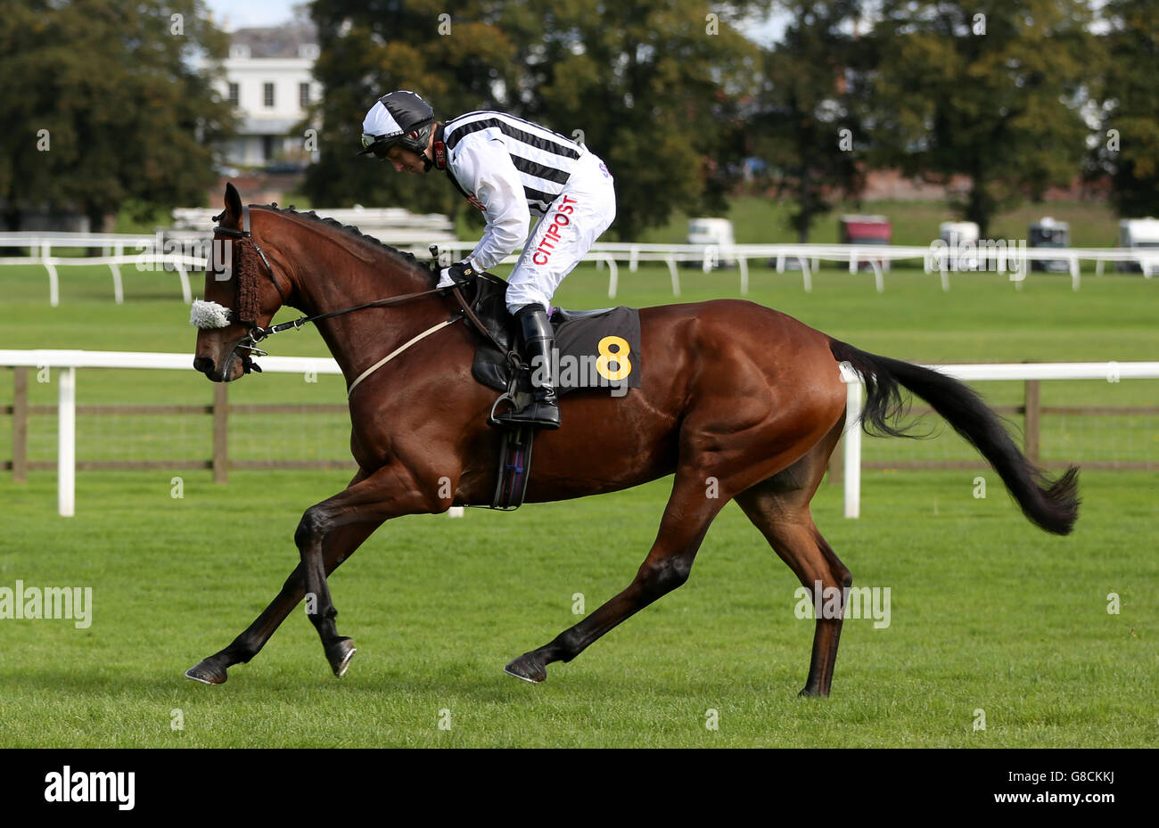Henry 8 horse hi-res stock photography and images - Alamy