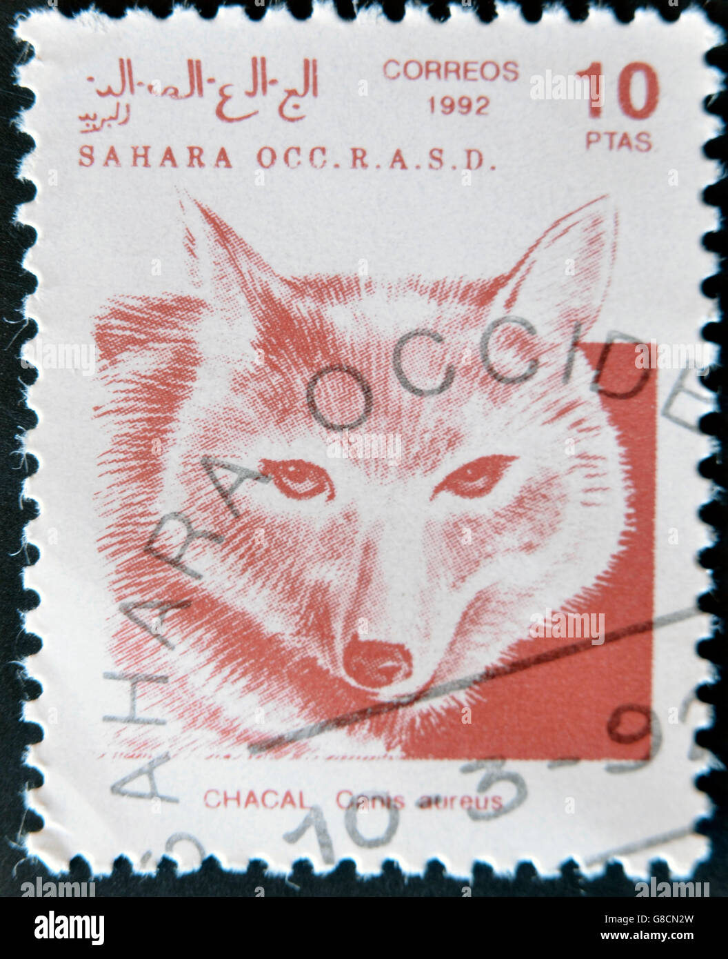 Western sahara stamp hi-res stock photography and images - Alamy