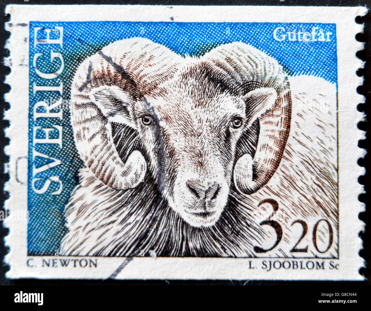 SWEDEN - CIRCA 1997: A stamp printed in Sweden shows a Gotland sheep ...