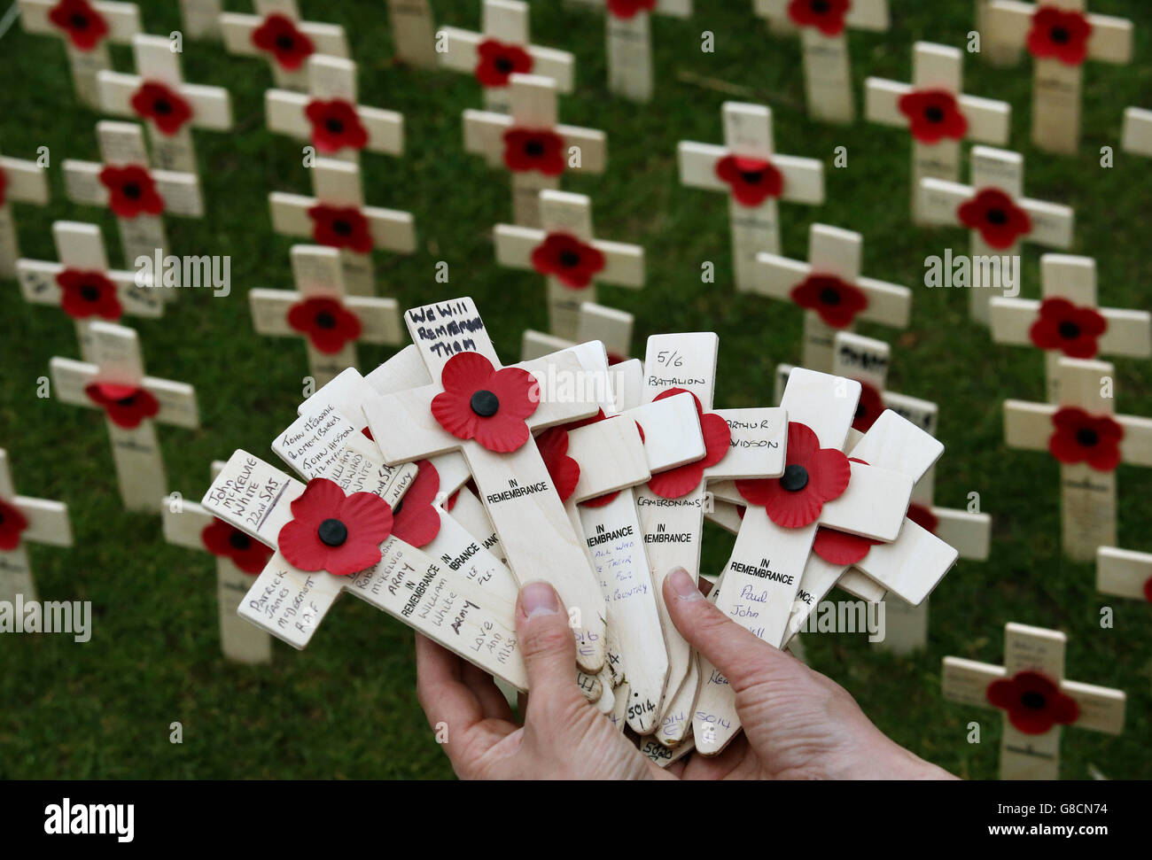 News scotland poppy hi-res stock photography and images - Alamy