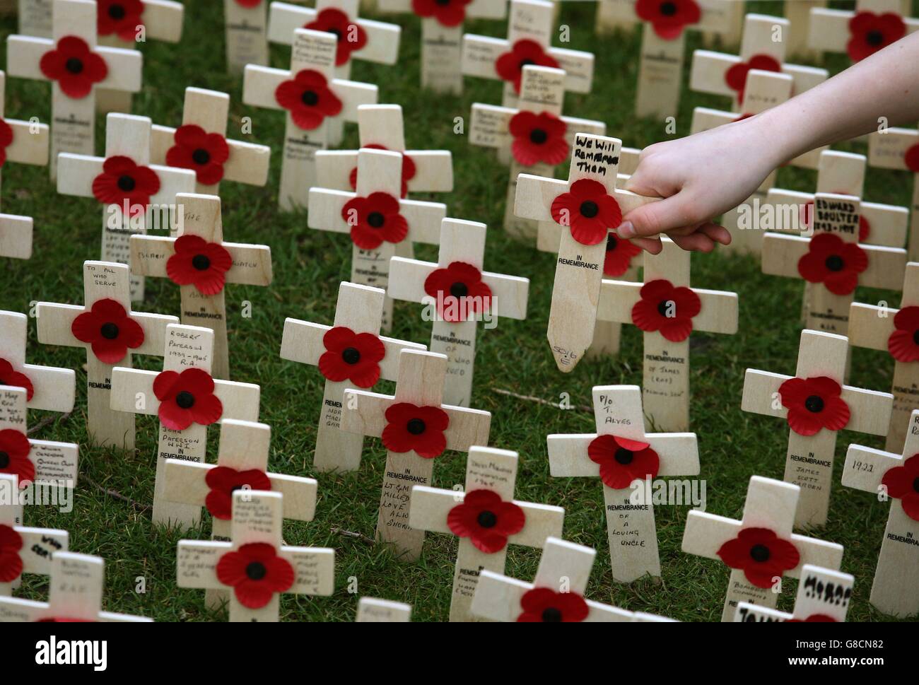 Poppy Appeal 2015 Stock Photo - Alamy
