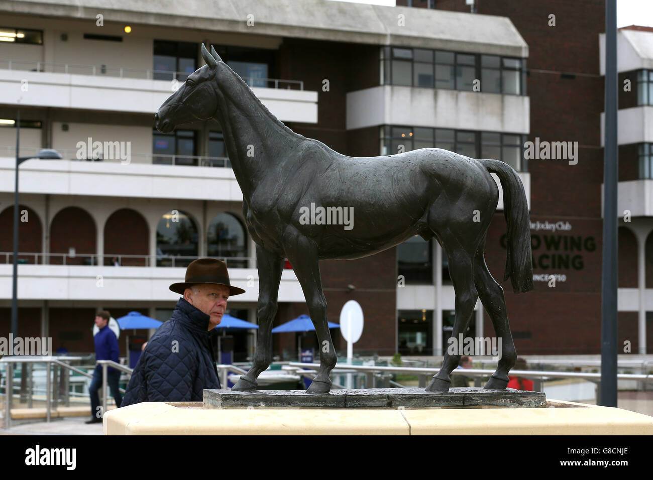 Statue Of Horse At Cheltenham at Ali Lemmone blog