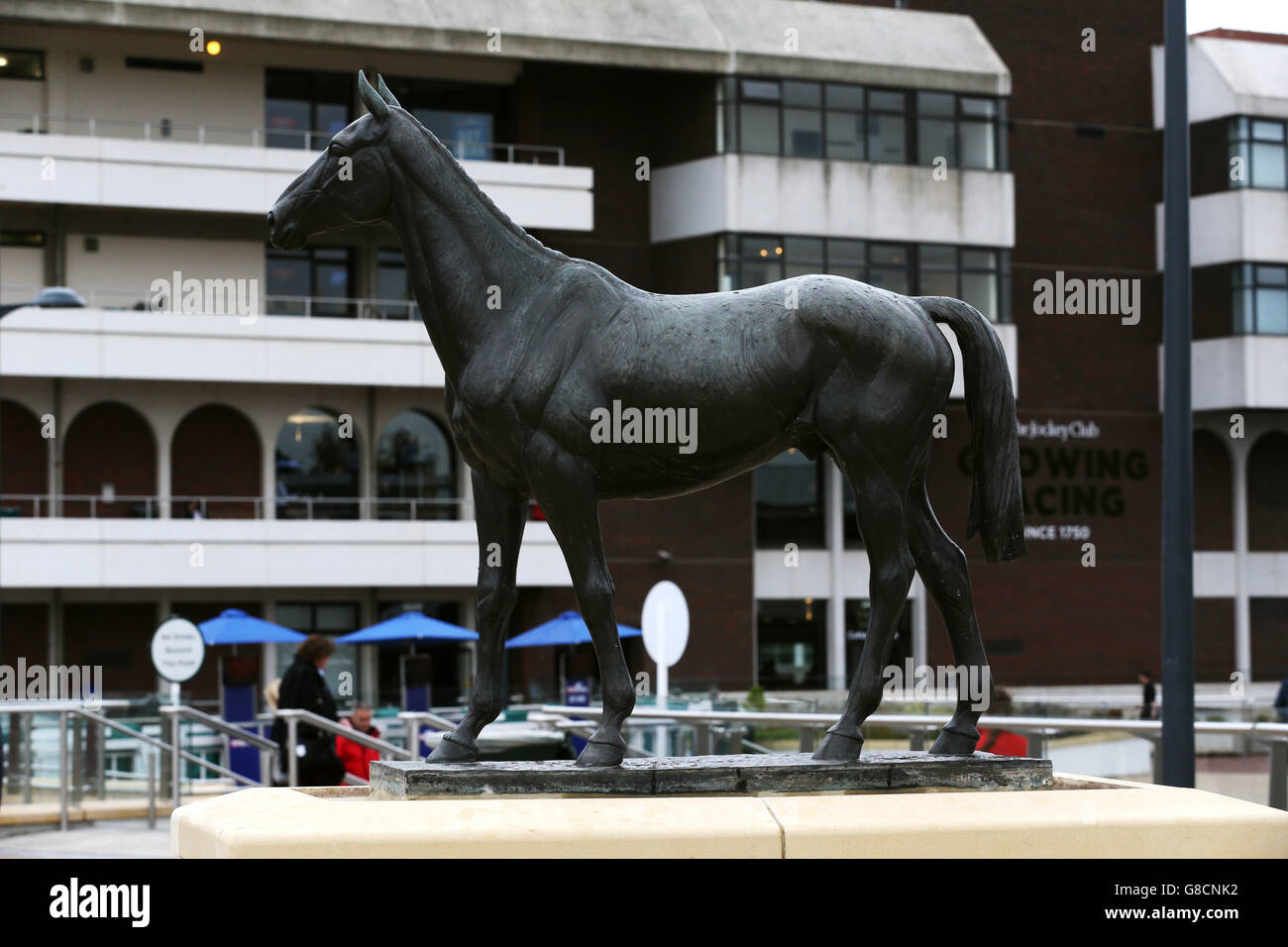 Arkle statue cheltenham hi-res stock photography and images - Alamy