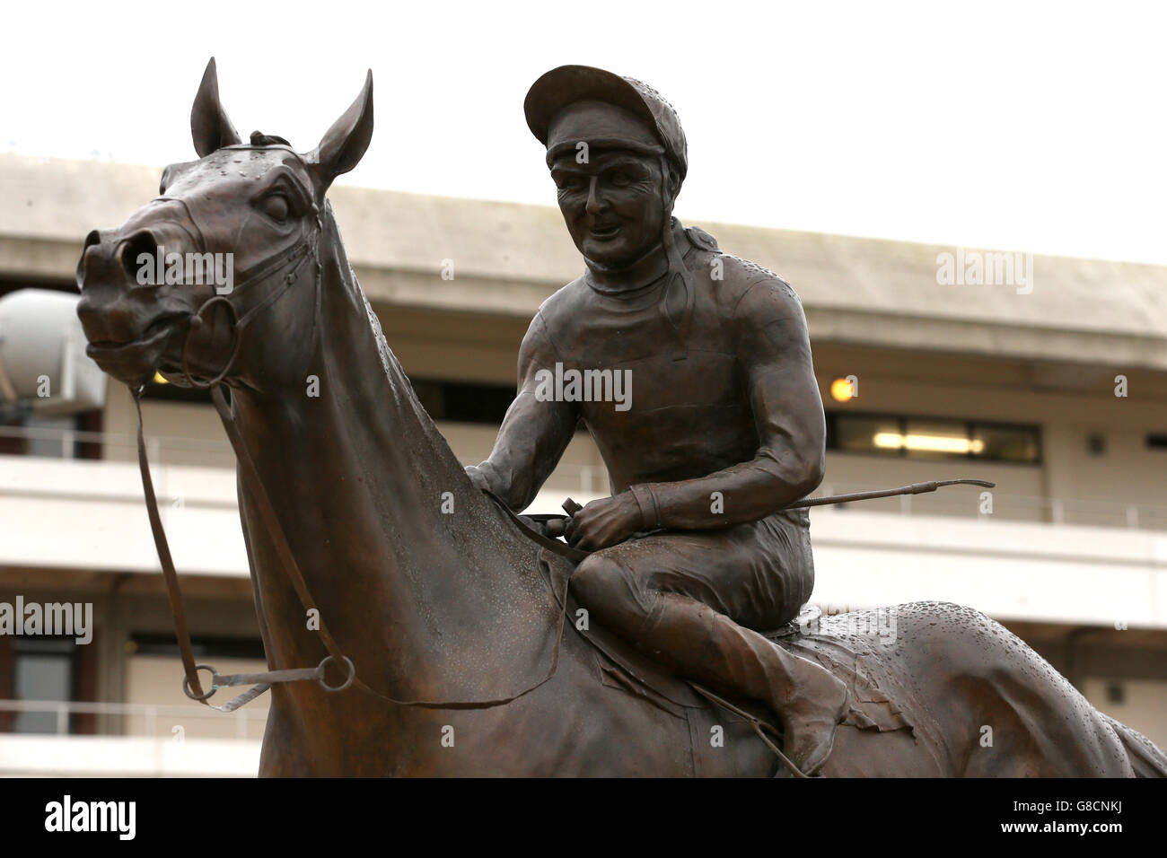 Dawn run statue at cheltenham racecourse hi-res stock photography and ...
