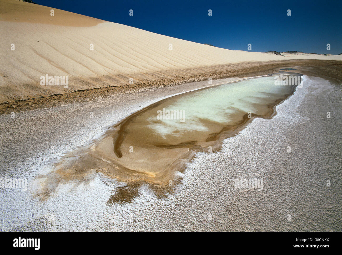 Salt pan, Skeleton Coast, Namibia Stock Photo - Alamy