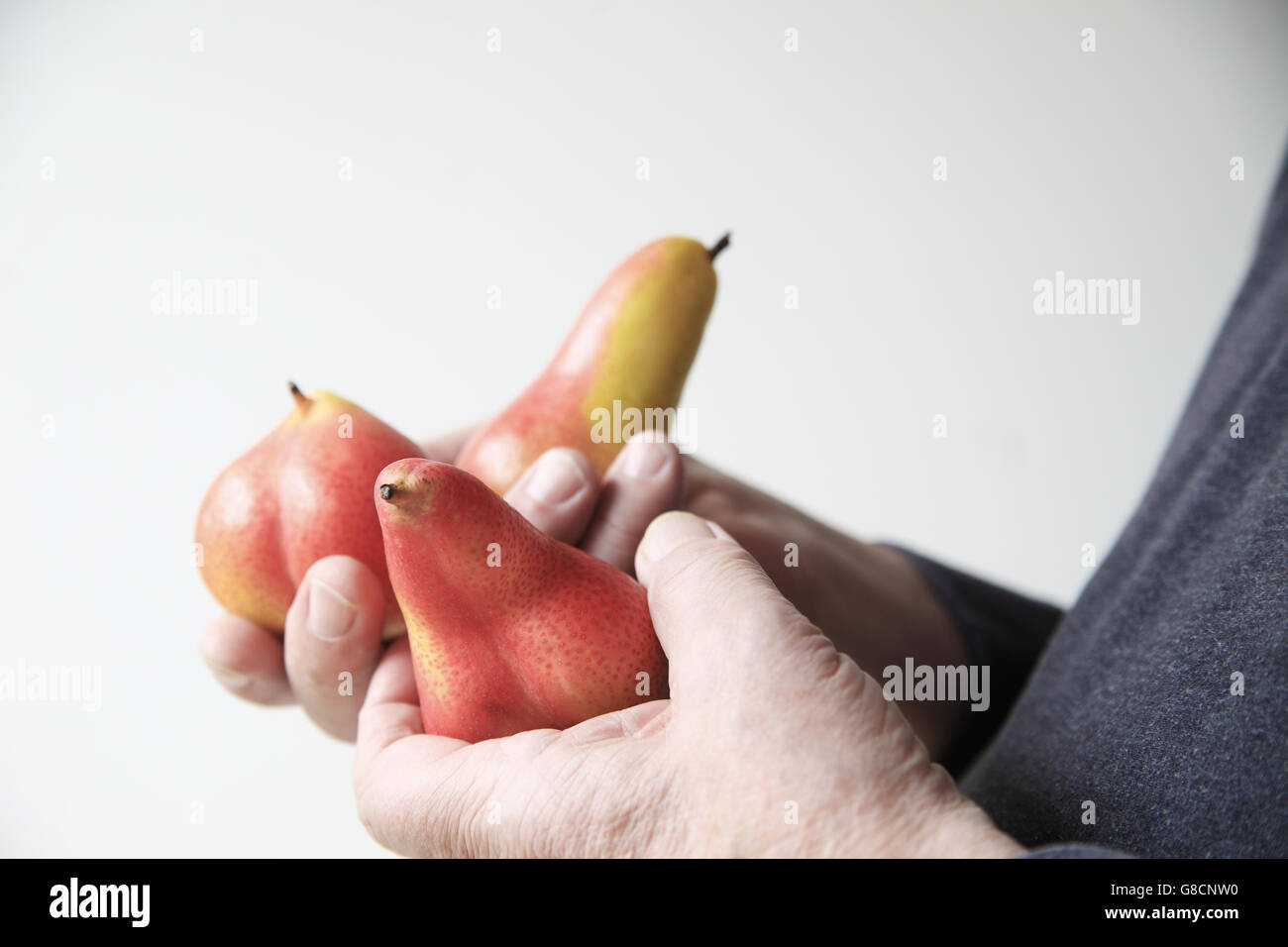 Profile view of man holding pears in his hands with copy space Stock ...
