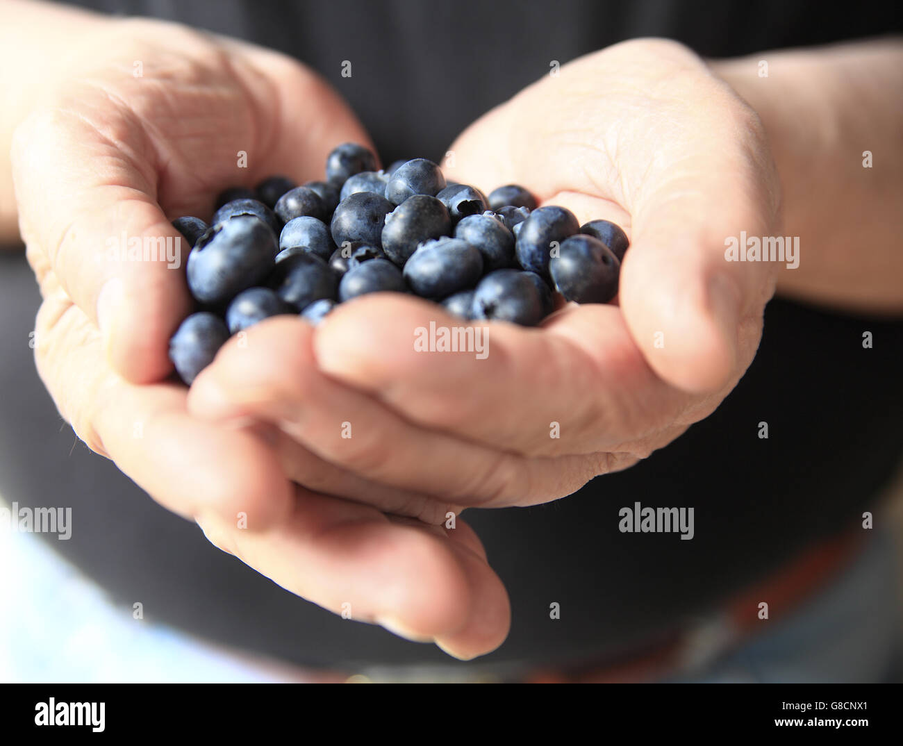 A man holds fresh blueberries closeup Stock Photo - Alamy