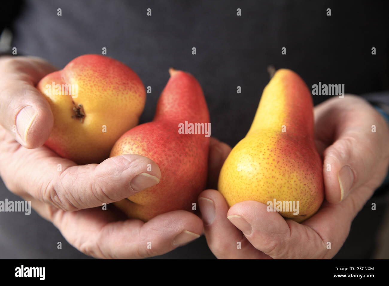 Three fresh pears hi-res stock photography and images - Alamy