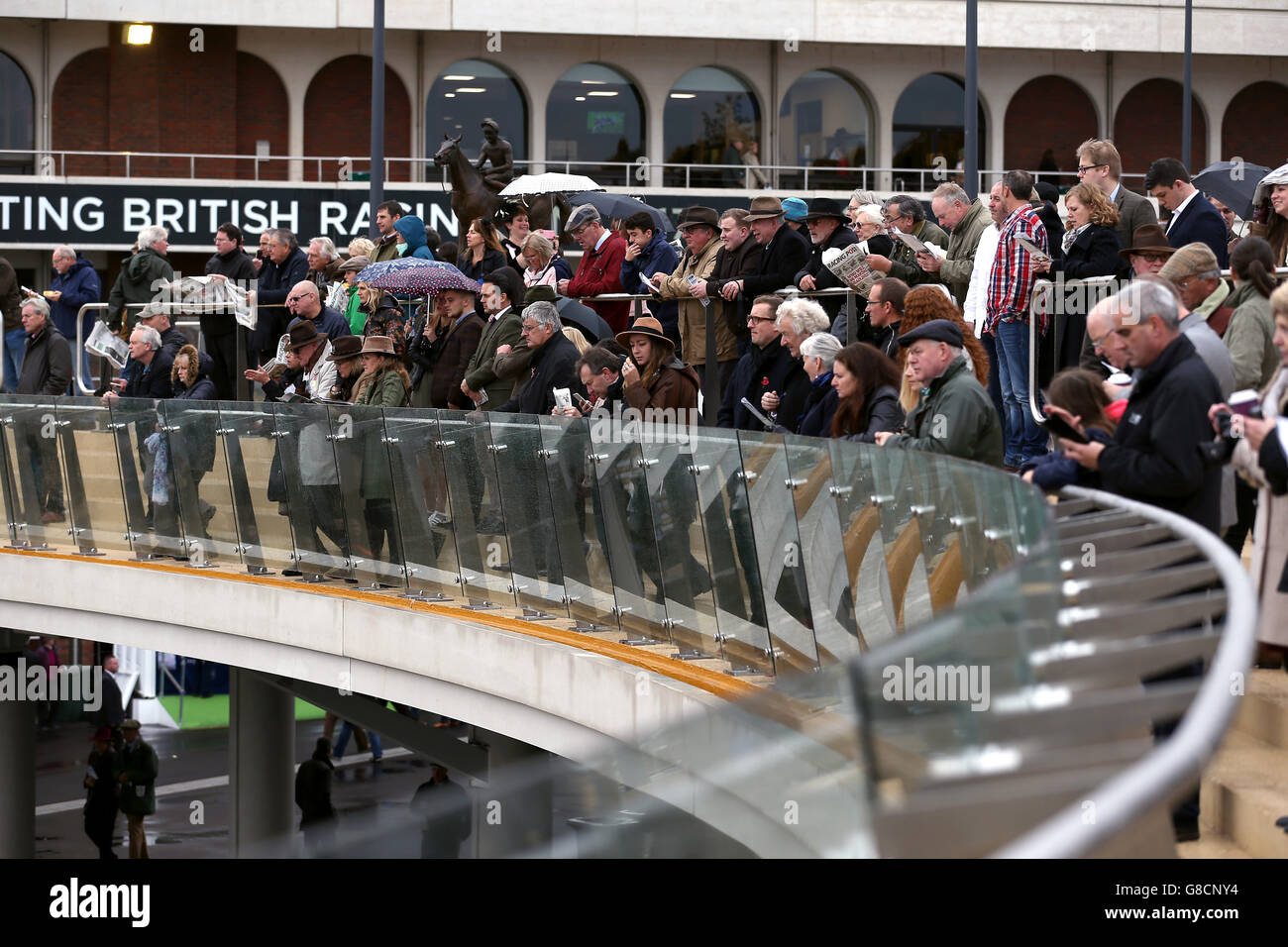 Horses in parade ring hi-res stock photography and images - Alamy