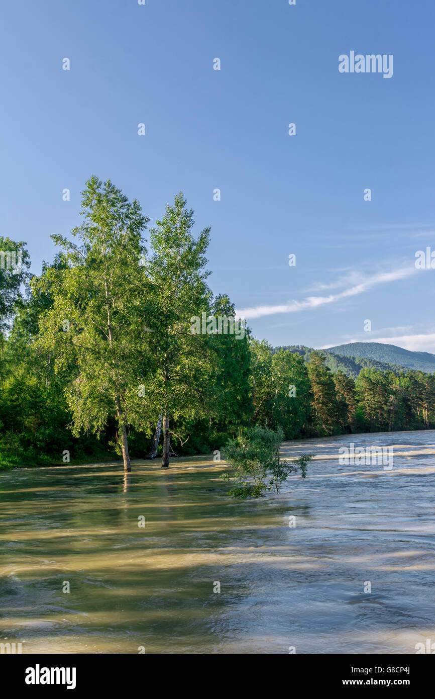 Small river with rocky shores flowing through a mountain valley Stock ...