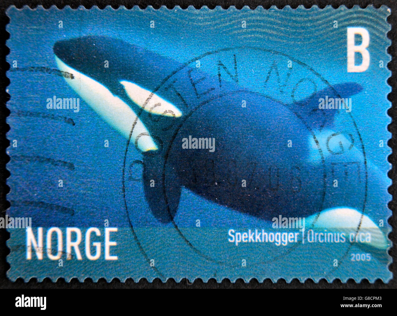 Orca card hi-res stock photography and images - Alamy