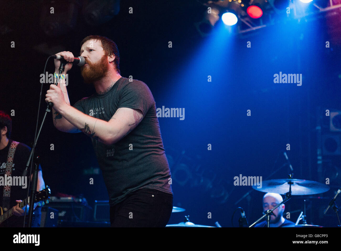 The st pierre snake invasion hi-res stock photography and images - Alamy