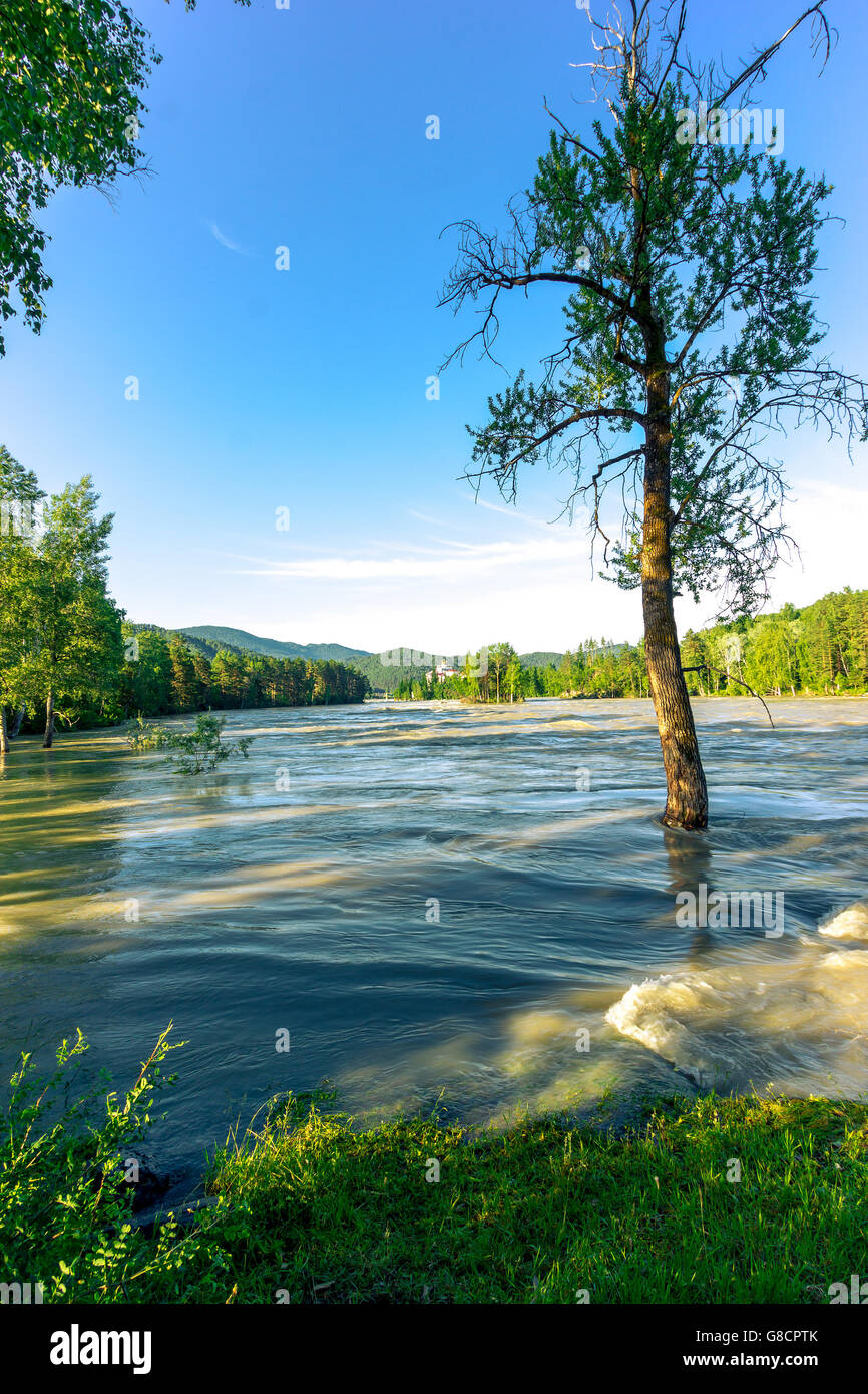 Small river with rocky shores flowing through a mountain valley Stock ...