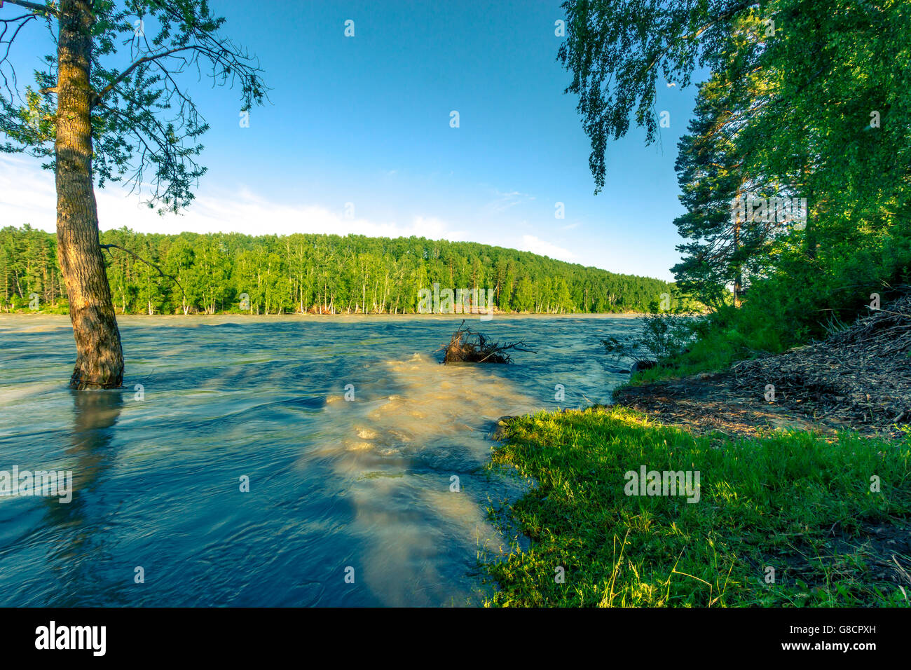 Small river with rocky shores flowing through a mountain valley Stock ...