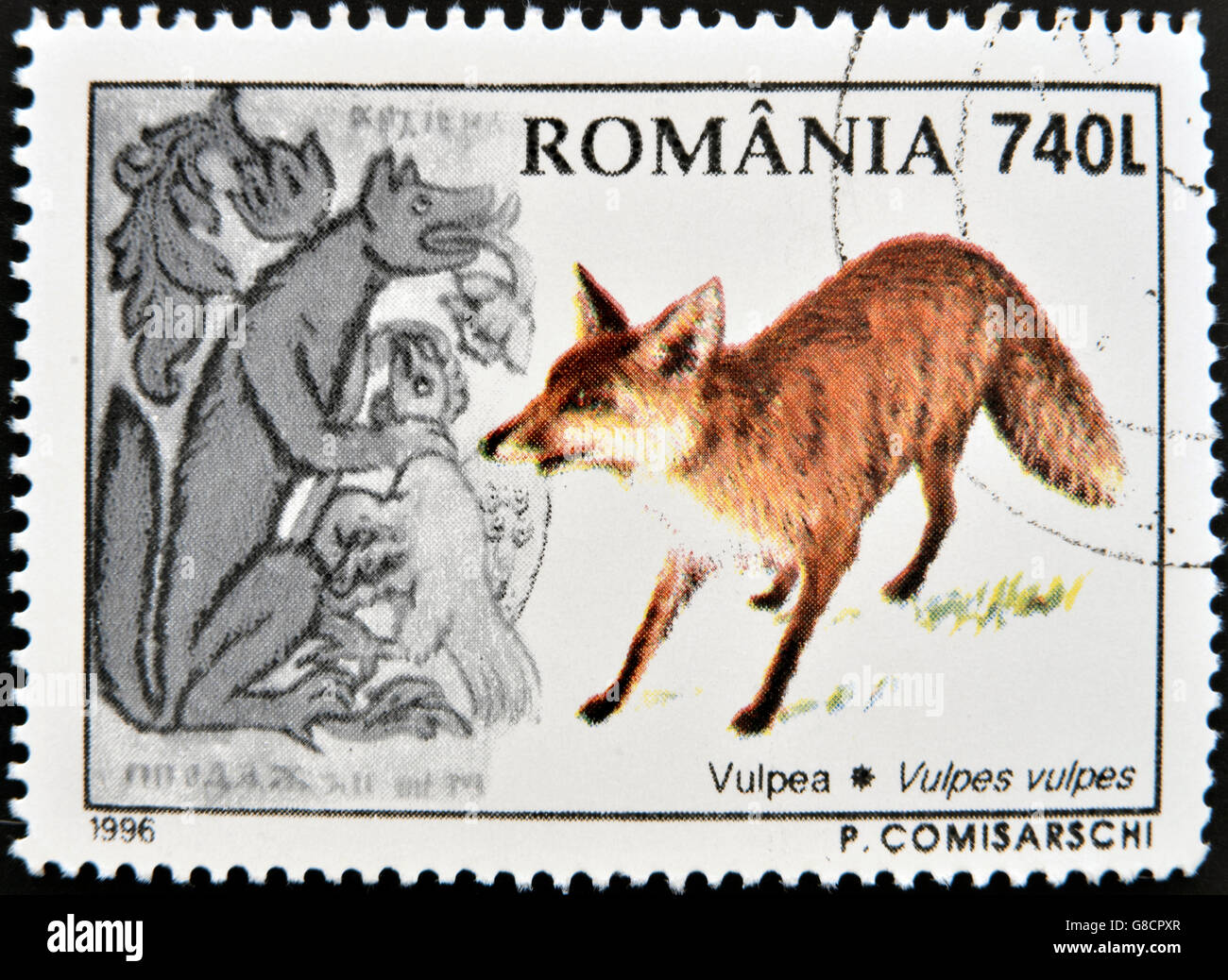 ROMANIA - CIRCA 1996: A stamp printed in the Romania, shows the Red fox ...