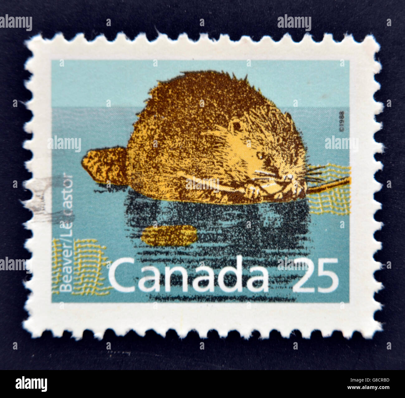 Canada beaver stamp hi-res stock photography and images - Alamy