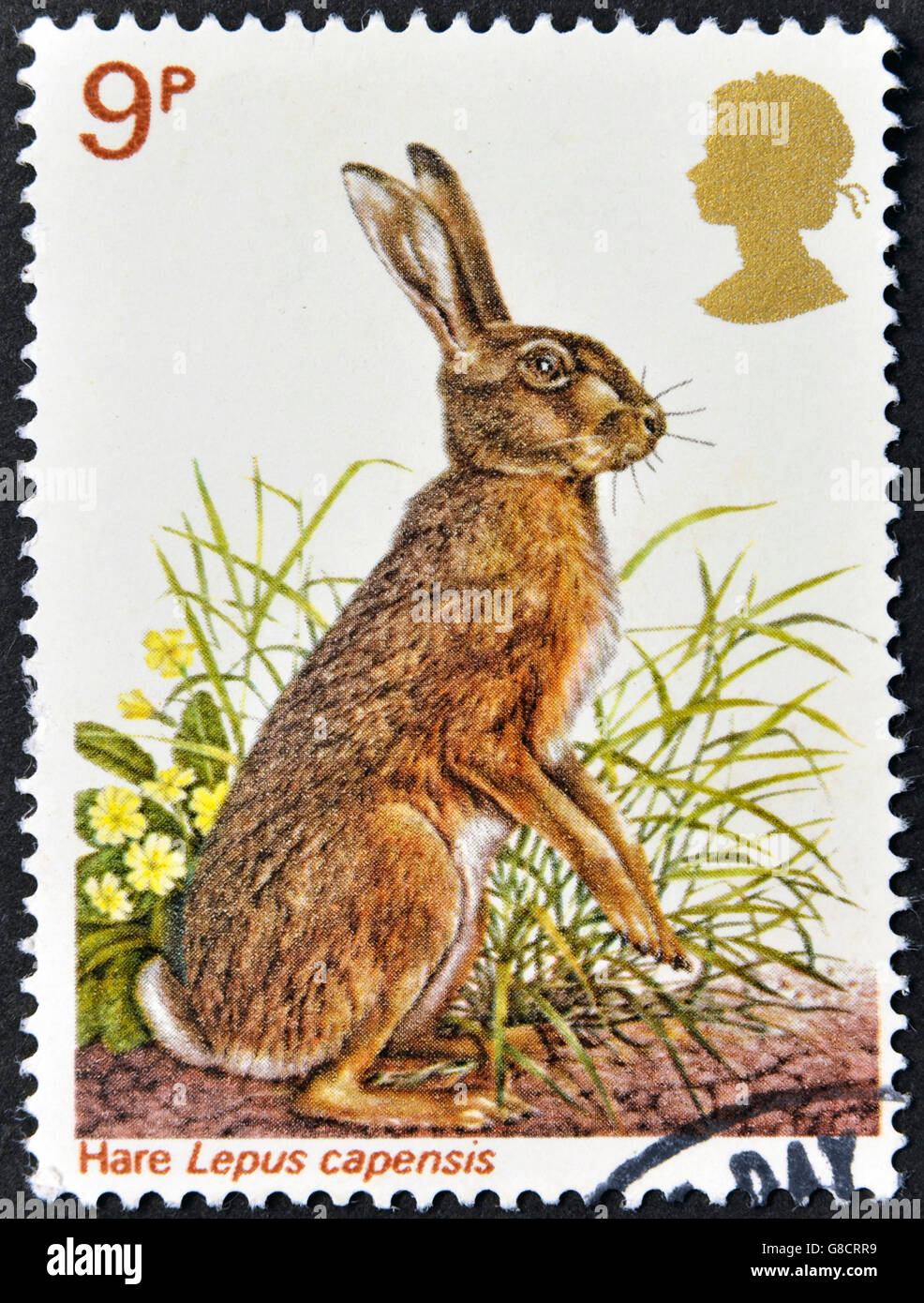 UNITED KINGDOM - CIRCA 1977: A Stamp printed in Great Britain ...