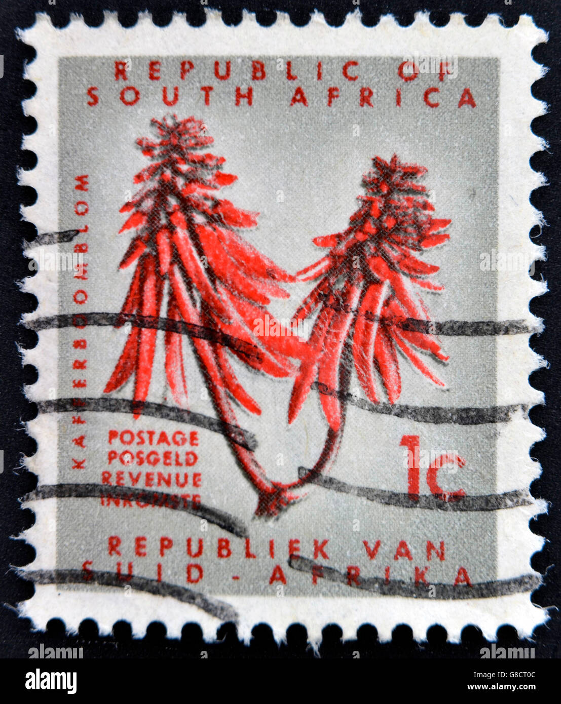 SOUTH AFRICA - CIRCA 1963: A stamp printed in South Africa shows a ...