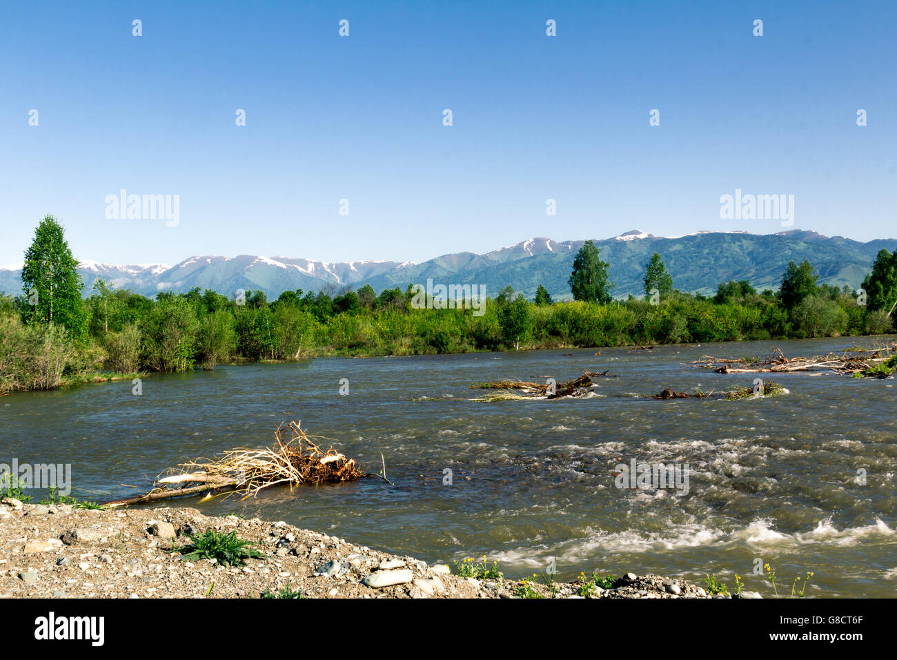 Small river with rocky shores flowing through a mountain valley Stock ...