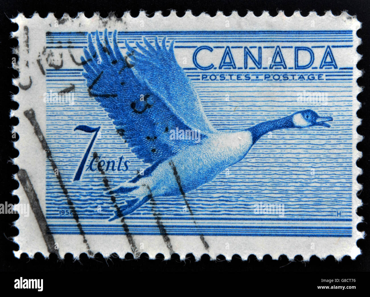 CANADA - CIRCA 1952: A stamp printed in Canada shows duck, circa 1952 ...