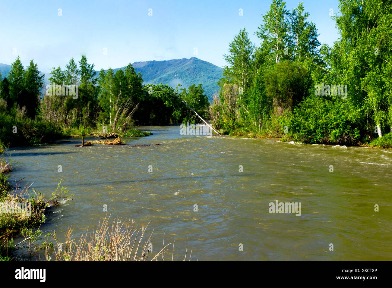 Small river with rocky shores flowing through a mountain valley Stock ...