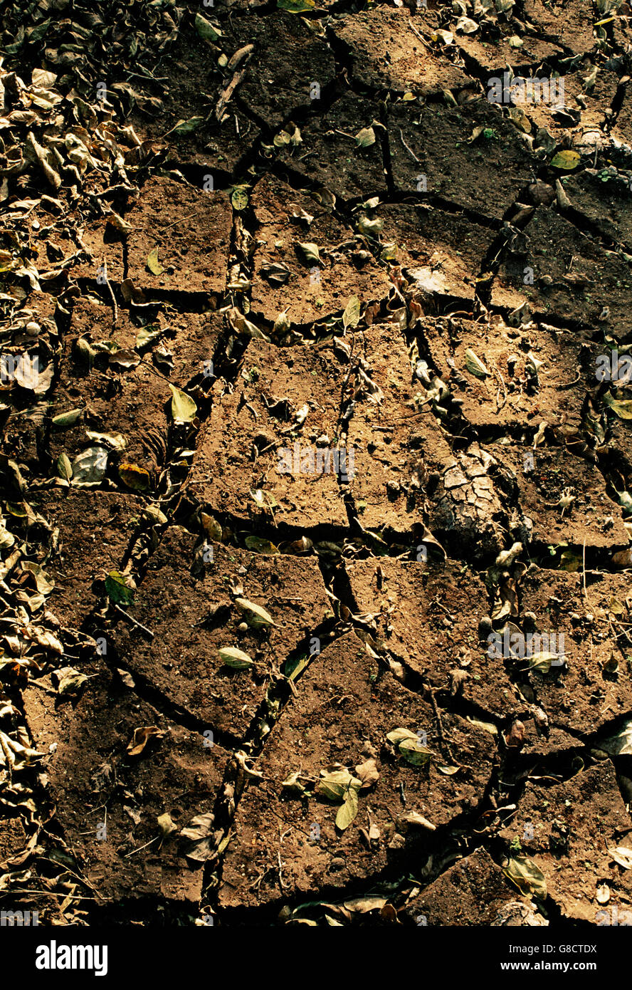 Natural earth art hi-res stock photography and images - Alamy