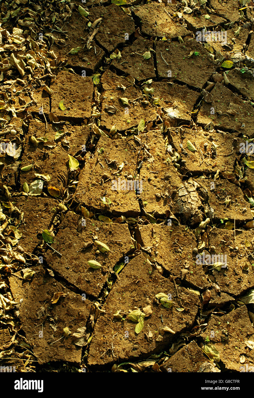 Dry cracks in the earth, South Africa Stock Photo - Alamy