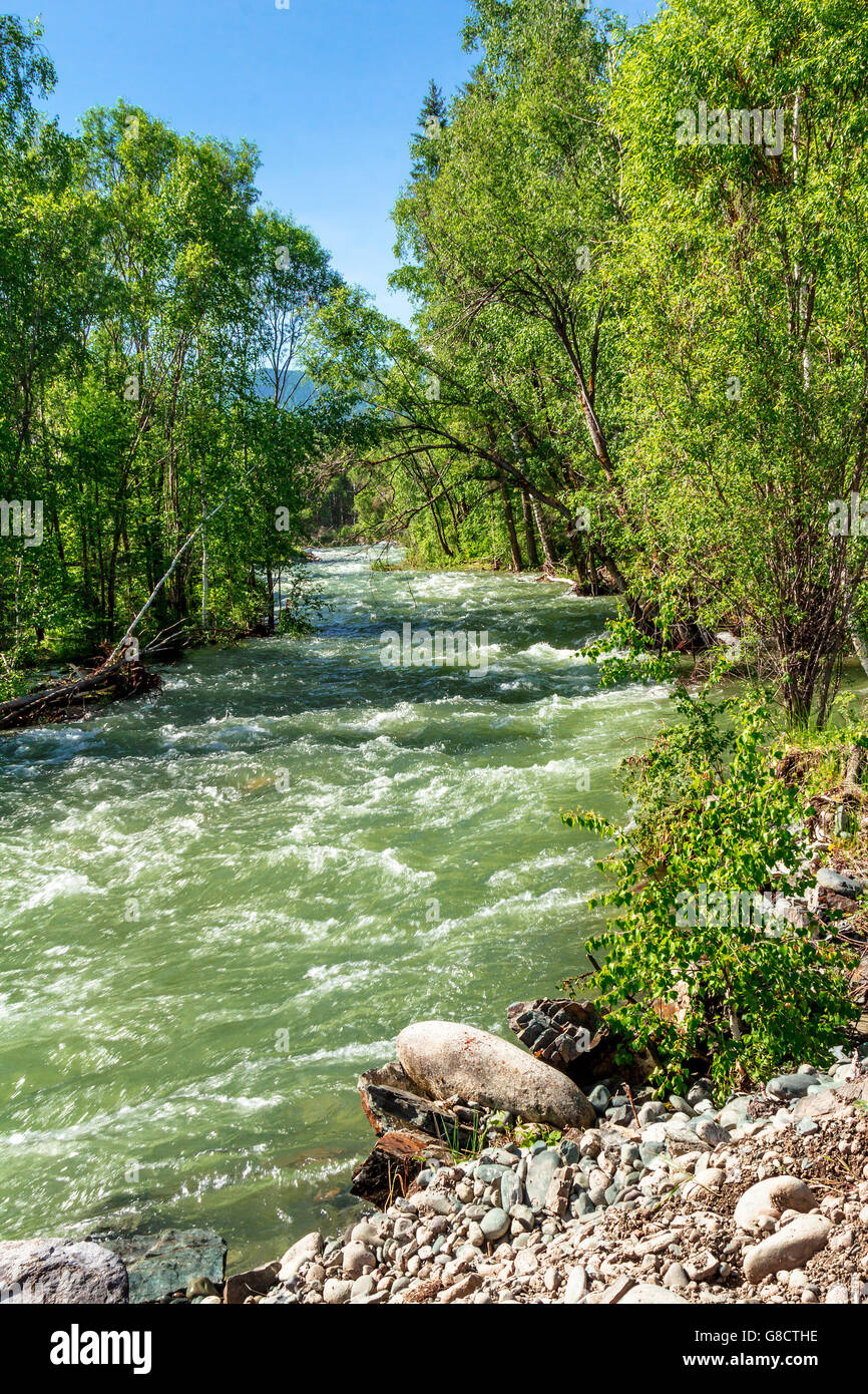 Small river with rocky shores flowing through a mountain valley Stock ...