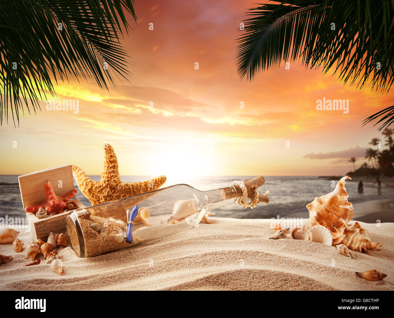 Beautiful tropical beach shells hi-res stock photography and images - Alamy