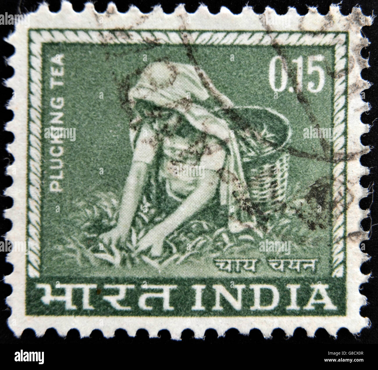 INDIA- CIRCA 1965:A stamp printed in India shows image of tea pickers ...
