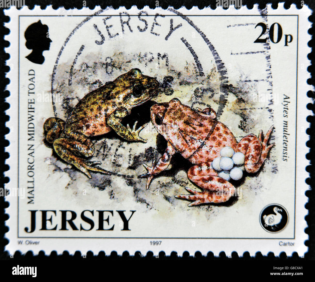JERSEY - CIRCA 1997: A stamp printed in Jersey shows mallorcan midwife ...