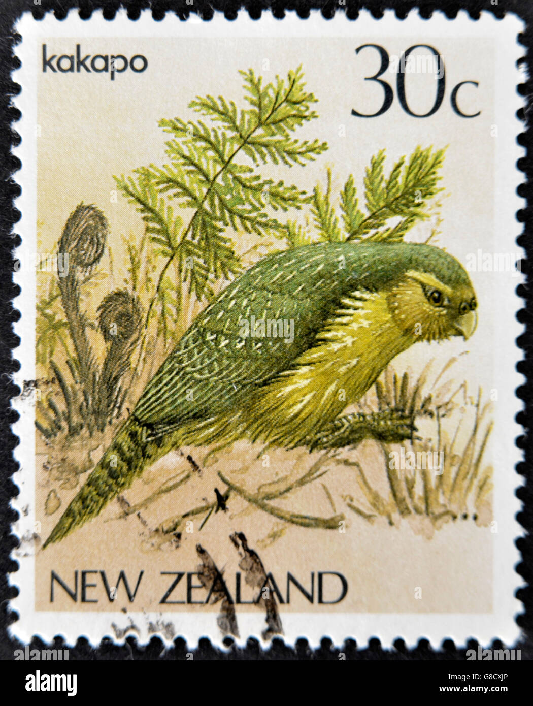 NEW ZEALAND - CIRCA 1986: A stamp printed in New Zealand, shows a bird ...