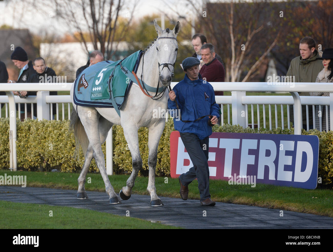 Simonsig in the parade ring before the Betfred Hurdle at Aintree ...