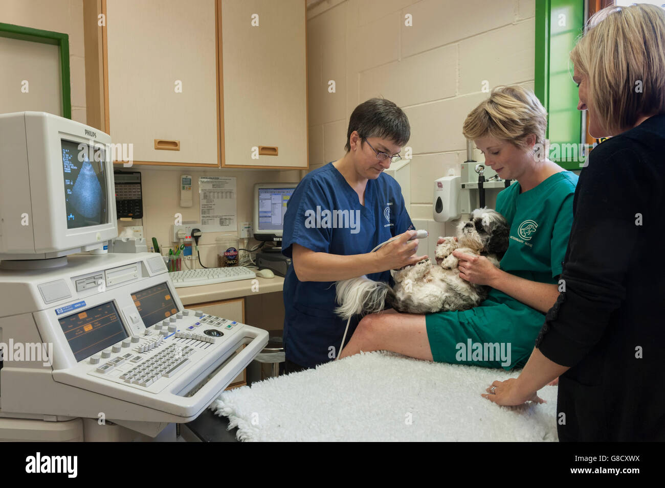 Scanning a dog hi-res stock photography and images - Alamy