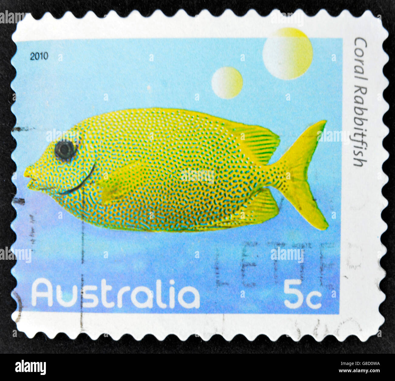 Black rabbitfish hi-res stock photography and images - Alamy