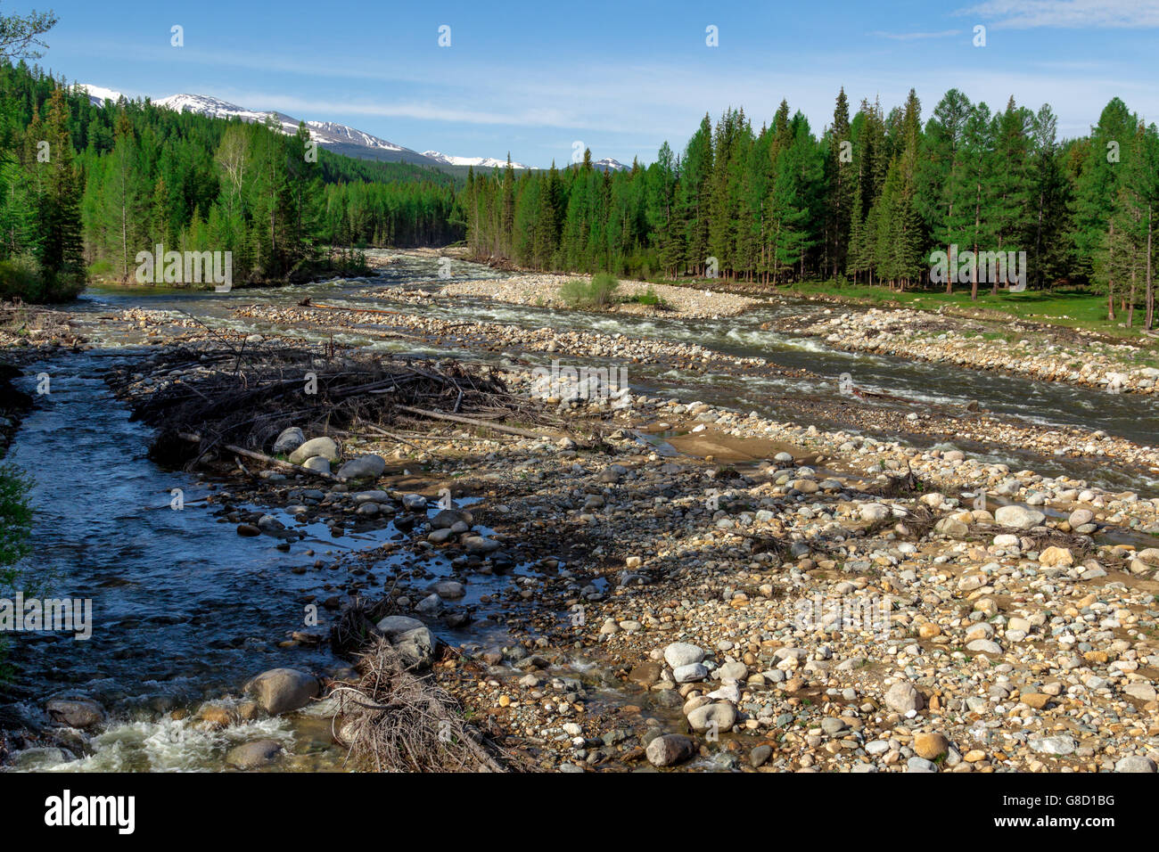Small river with rocky shores flowing through a mountain valley Stock ...
