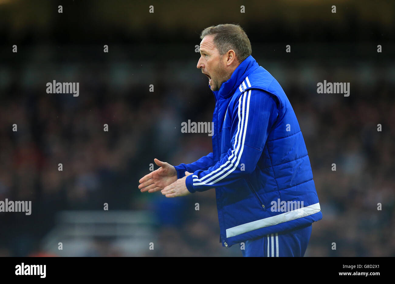 Chelsea assistant first team coach Steve Holland on the touchline ...