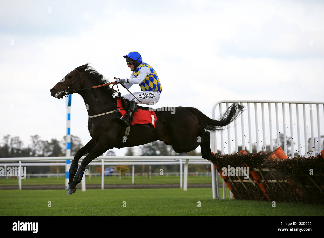 Jockey matthew batchelor on big mcintosh william hill hi-res stock ...