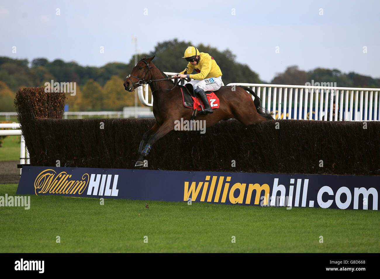 Horse racecourse on phone hi-res stock photography and images - Alamy